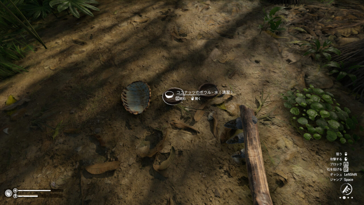 【GREEN HELL】もう死なない！初心者が攻略する上で大事な4つのポイント｜SINONOME ゲームブログ