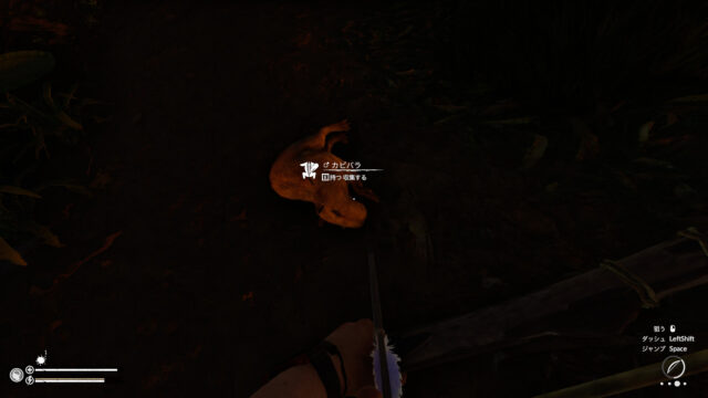 【GREEN HELL】もう死なない！初心者が攻略する上で大事な4つのポイント｜SINONOME ゲームブログ