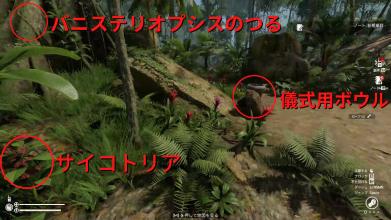 【攻略】GREEN HELL(グリーンヘル)のストーリーモードを完全解説！｜SINONOME ゲームブログ