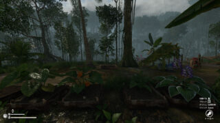 【攻略】GREEN HELL(グリーンヘル)の植物一覧と特徴を徹底解説！｜SINONOME ゲームブログ